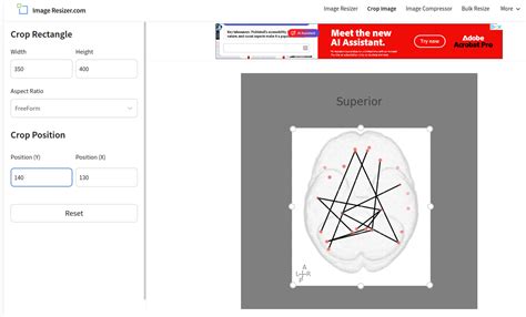 Crop And Merge Images Using Python Opencv Ahmedur Rahman Shovon