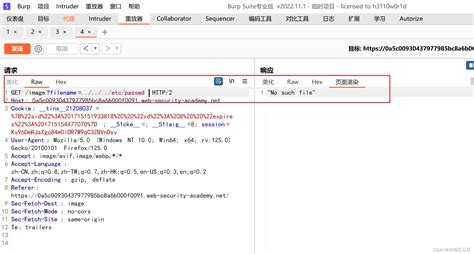 目录遍历漏洞 Csdn博客