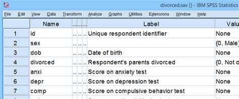 Spss Independent Samples T Test Beginners Tutorial