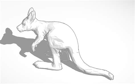 3d Design Kangaroo Tinkercad