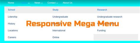 Responsive Mega Menu Plugin In Jquery And Css3 Mega Menu Jquery Plugins