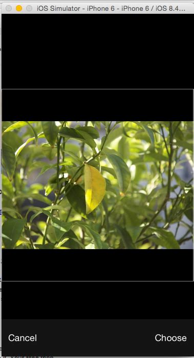 Ios UIImagePickerController Cropping With AllowEditing Doesn T Work