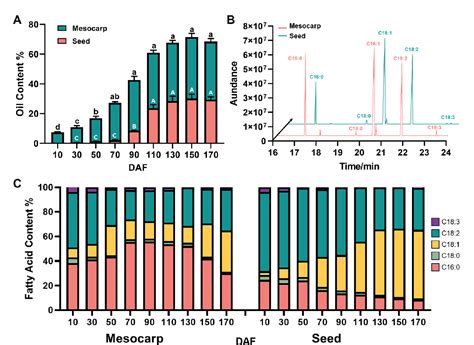 Figure 1 From Comparative Analysis Of Transcriptome In Oil Biosynthesis Between Seeds And Non