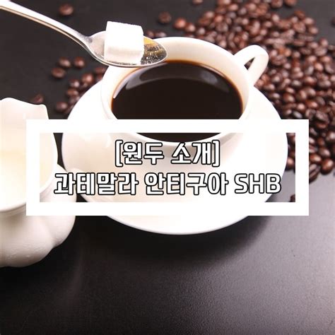 원두 소개 과테말라 안티구아 Shb