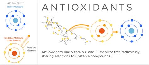 How Do Antioxidants Work Miosuperhealth