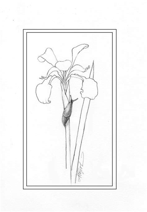 Slug Slime A Secret Weapon New York Almanack