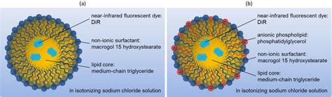 Figure 1 From Particle Engineering Of Innovative Nanoemulsion Designs To Modify The Accumulation