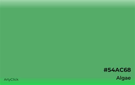Algae Color Artyclick
