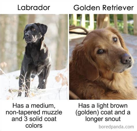 The Differences Between Similar Things Others