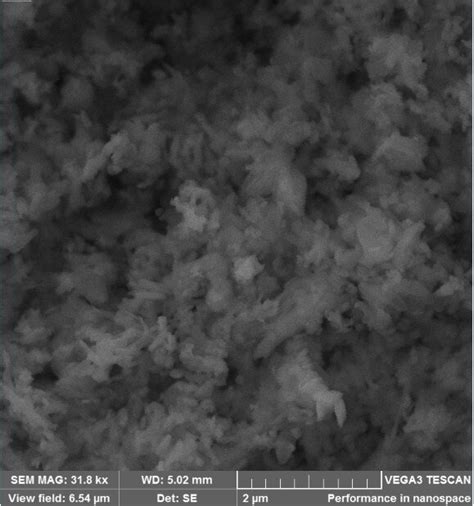Scanning Electron Microscope Image Of Copper Oxide Nanoparticles