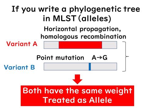 Bacterial Strain Typing Pfge Mlst And Mlva In Molecular Epidemiology