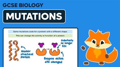 Mutations Gcse Biology Youtube