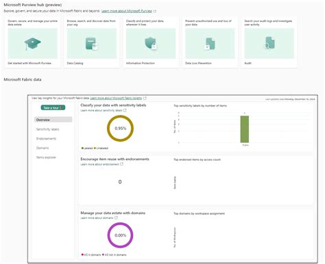 Solved Fabric And Microsoft Purview Microsoft Fabric Community