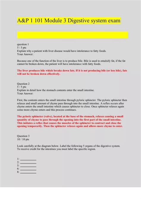aandp 1 101 module 3 exam 3 digestive system portage learning questions