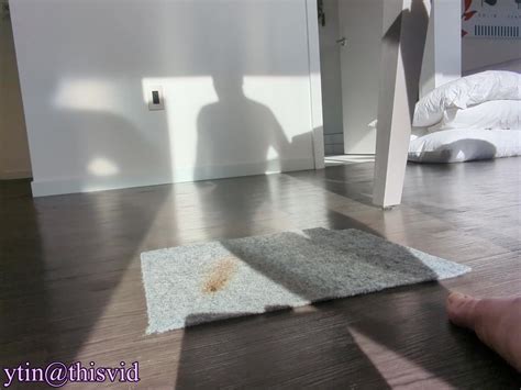 Hotel Dirty Ass Wiping And Shitting On Safe Padding