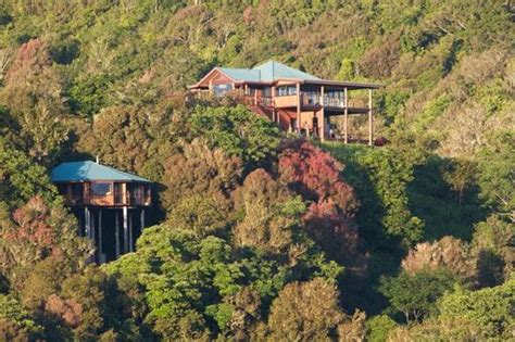 Best Luxury Treehouse Accommodation In Queensland Staytopia
