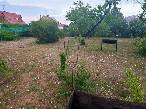 Bourdon Blanc On Twitter Cedric Cntn Alex Le Bars Saint Cyr En Val Ke8dodk6bl