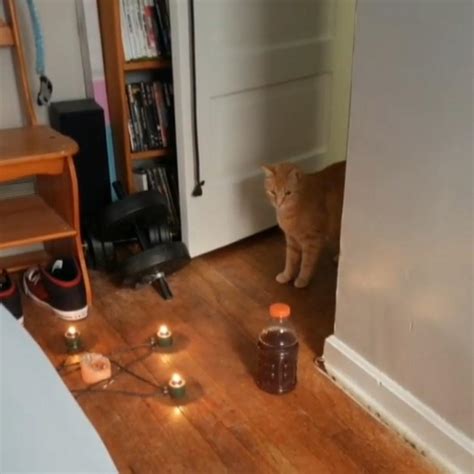 Sick Fuck Does Satanic Ritual Despite Being Told Not To Numerous Times