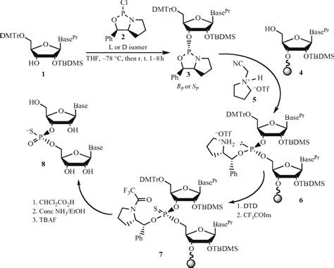 Figure 14 4 From Separation Of Rna Phosphorothioate Oligonucleotides By Hplc Semantic Scholar