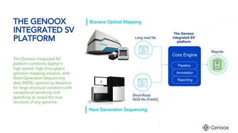 Giab V06 Genoox Sv Benchmarking Ppt