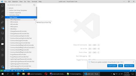 salesforcedx error running force source retrieve flag manifest
