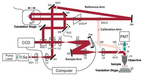 Adaptive Optics Under The Microscope Features Jan 2007 Photonics Spectra