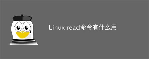 Linux Read命令有什么用 Linux运维 Php中文网