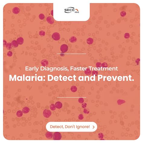 Secomind Ai On Linkedin Healthcare Computervision Deeplearning Detection Ai