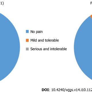 Patient Pain Levels During Cap Assisted Endoscopic Sclerotherapy