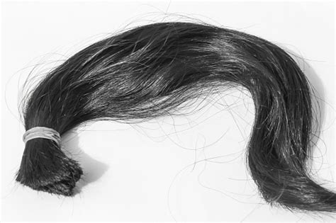 긴 흑인 아시아 여자 머리 자르기 그룹 흰색 배경에 고립 된 암 환자를위한 가발을 만들기 위해 기부 0명에 대한 스톡 사진 및 기타 이미지 Istock