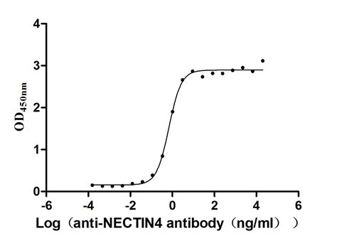 Nectin4 信号通路 蛋白抗体 华美生物