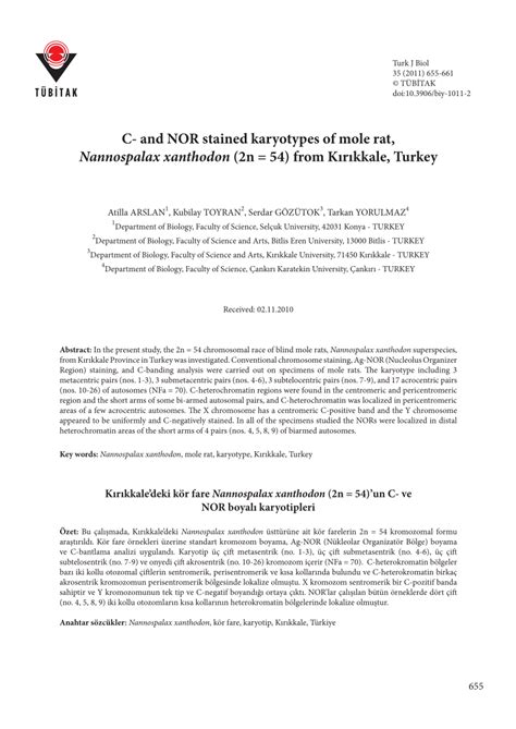 Pdf C And Nor Stained Karyotypes Of Mole Rat Nannospalax Xanthodon 2n 54 From Kırıkkale