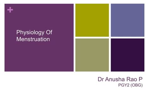 Supports Of Uterus Pptx Supports Of Uterus Pptx