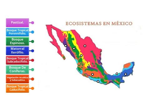 Ecosistemas En Mexico Labelled Diagram