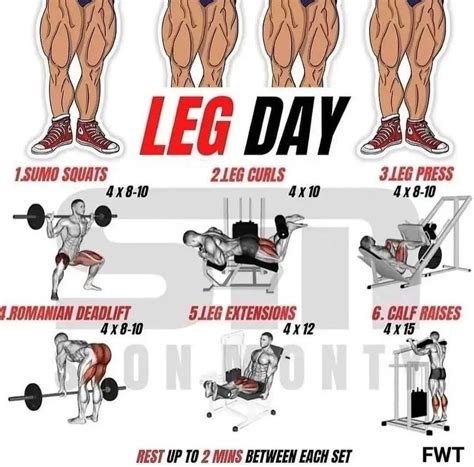 Pin By Fitness And Bodybuilding On Legs Day Leg Workout Gym Workout