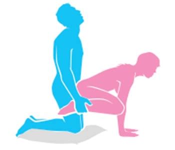 Leapfrog Illustrated Sex Position Adam And Eve S Guide To Sex