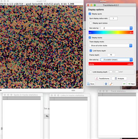 Re Trackmate Particle Centroids For One Time Step Xyz Image Analysis Imagesc Forum