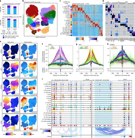 Archr Is A Scalable Software Package For Integrative Single Cell