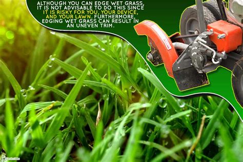 Can You Edge Wet Grass Should You
