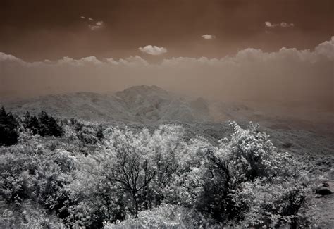 Doi Intanon Thailand Oc Scrolller