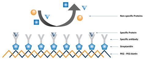 Analyzing Surface Interactions Using Qcm D Nanoscience Instruments