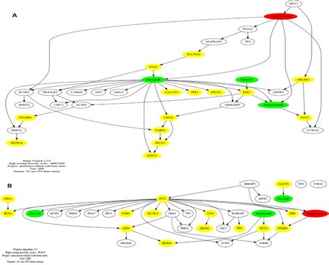 Causal Bayesian Network Using Banjo Analysis A And The Order