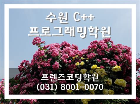 [ 수원 c 학원 ] c 프로그래밍 소개 [ 안양 의왕 군포 오산 병점 동탄 화성 용인 영통 수원 프렌즈코딩학원