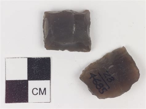 Gun Flint Smithsonian Institution