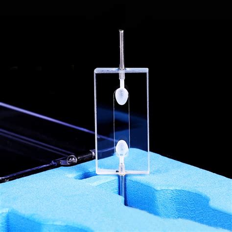Flow Through Cuvette At Bennie Keim Blog