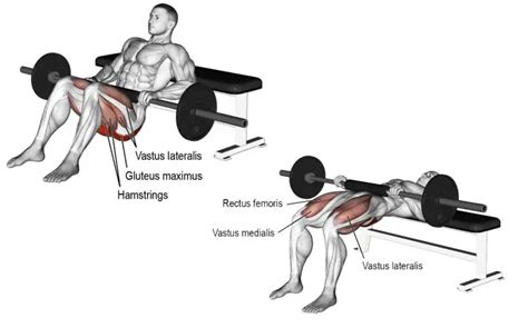 8 Best Glute Isolation Exercises For A Stronger Shapelier Butt