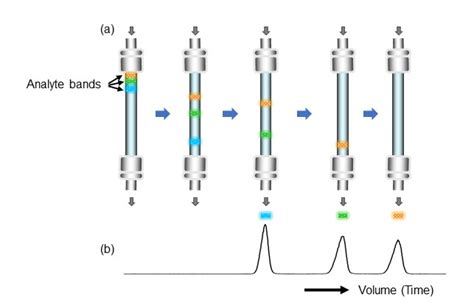 Chapter HPLC Separation Shodex HPLC Columns And Standards