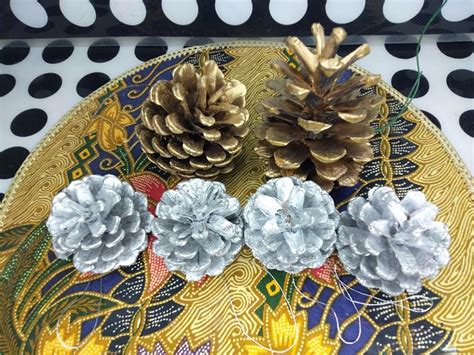 Assorted Pine Cones From Uk Furniture And Home Living Home Decor