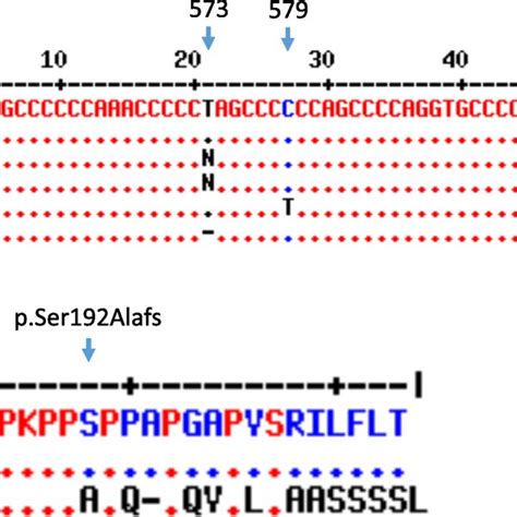 A Dna Sequence Alignment Homorefseq The Human Reference Gene