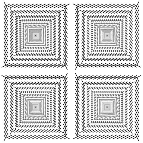 Classic Geometrical Illusion 19